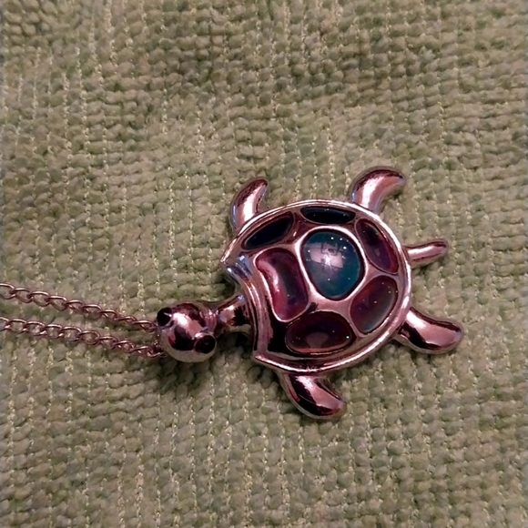 Jewelry | Color Changing Silver Sea Turtle | Poshmark